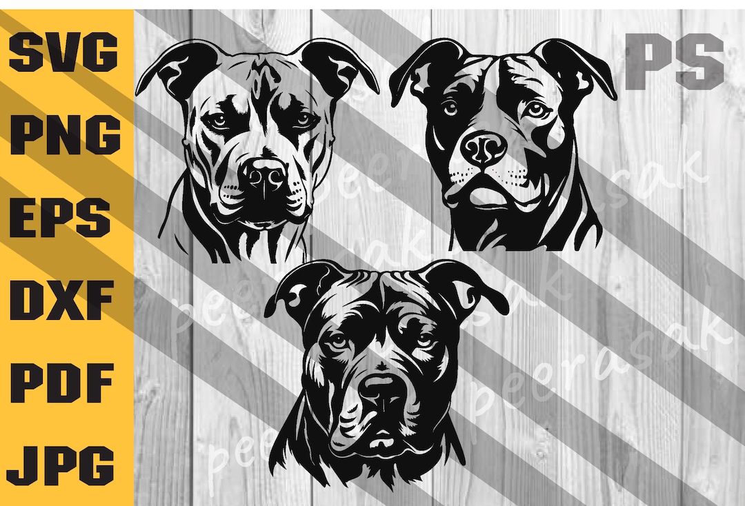 Pitbull Svg, American Pit Bull Svg, Pitbull Clipart, Pitbull Vector ...