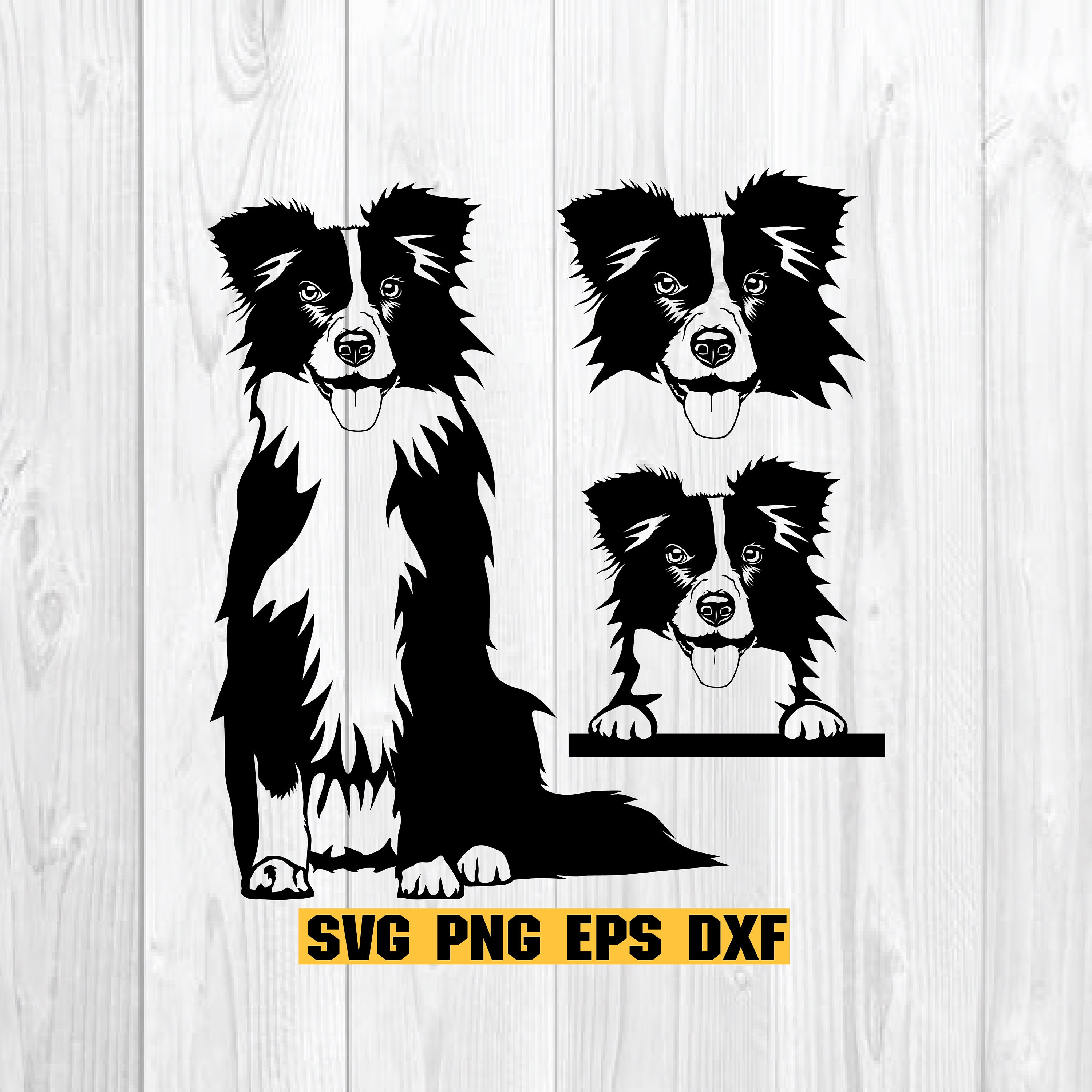 Border Collie Svg Dog Svg File for Cricut Face Peeking Head - Etsy