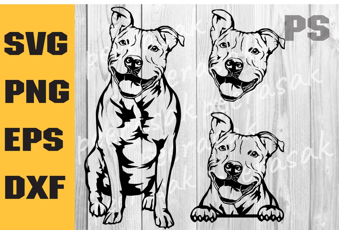 Pitbull Svg, American Pit Bull Svg, Pitbull Clipart, Pitbull Vector ...