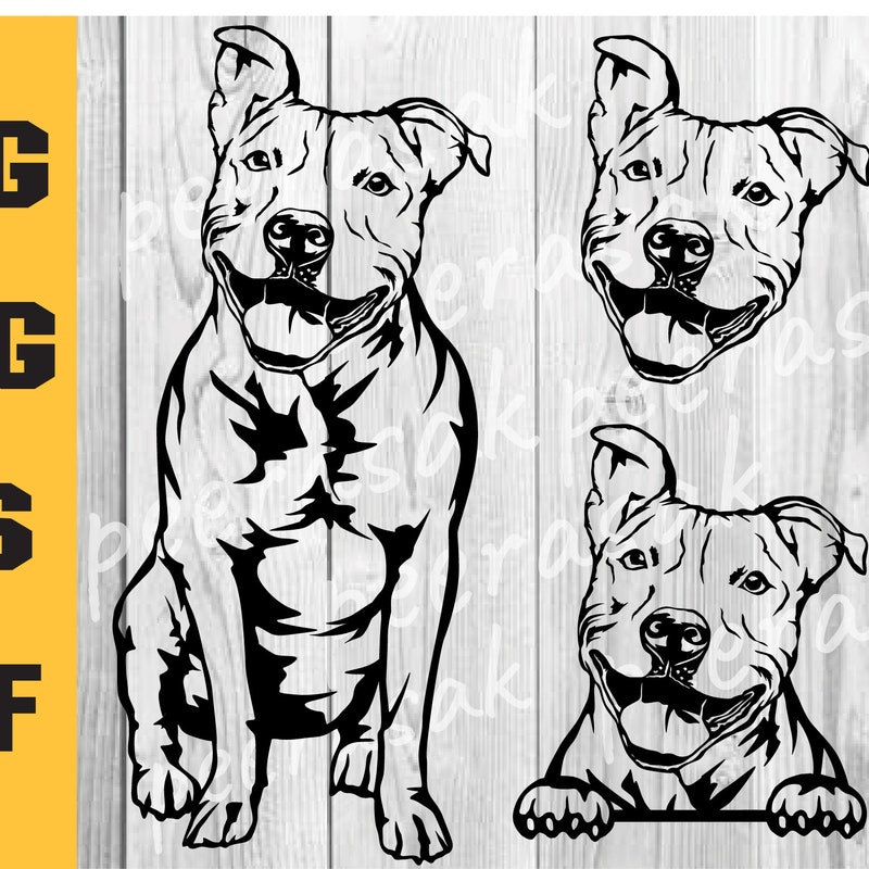 Pit Bull Svg - Etsy