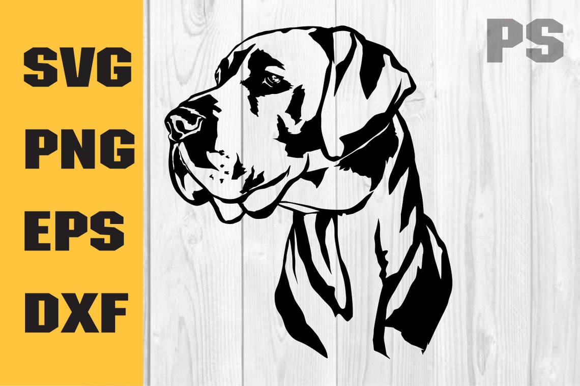 Great Dane Svg Great Dane Png Line Art Clipart Portrait EPS - Etsy