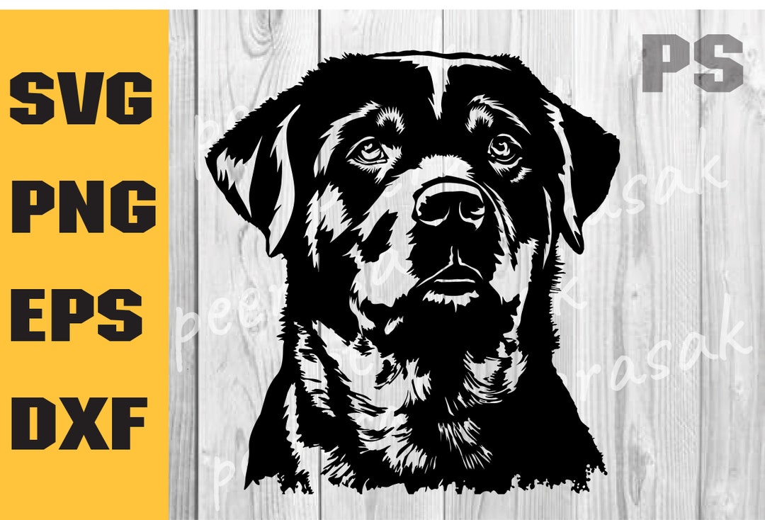 Rottweiler Svg, Dog Svg File Cricut, Rott Face Clipart, Rottie Body ...