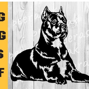 Cane Corso Svg, Peeking Dog Svg, Cane Corso Puppy Cut Files, Cane Corso ...