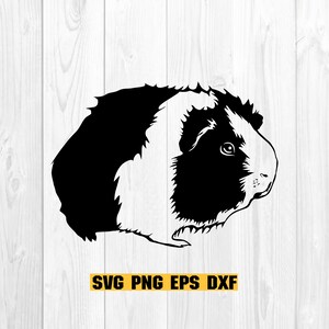 Guinea Pig Svg, Cute Pet Clipart, Domestic Animal Vector, Graphics ...