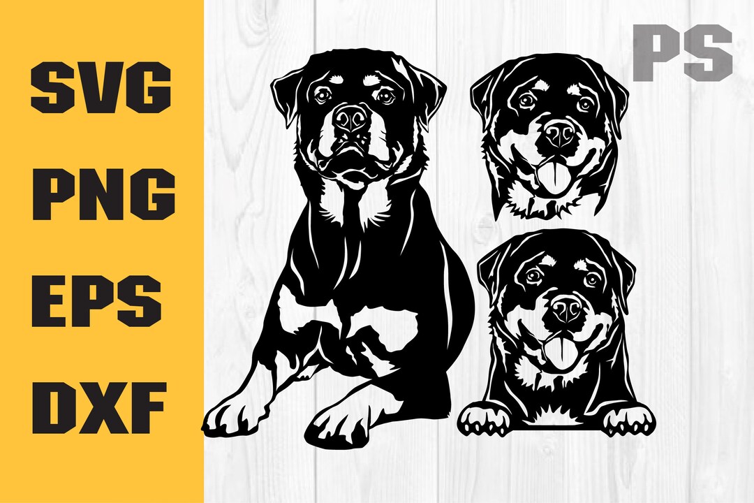 Rottweiler Svg, Dog Svg File Cricut, Rott Face Clipart, Rottie Body ...