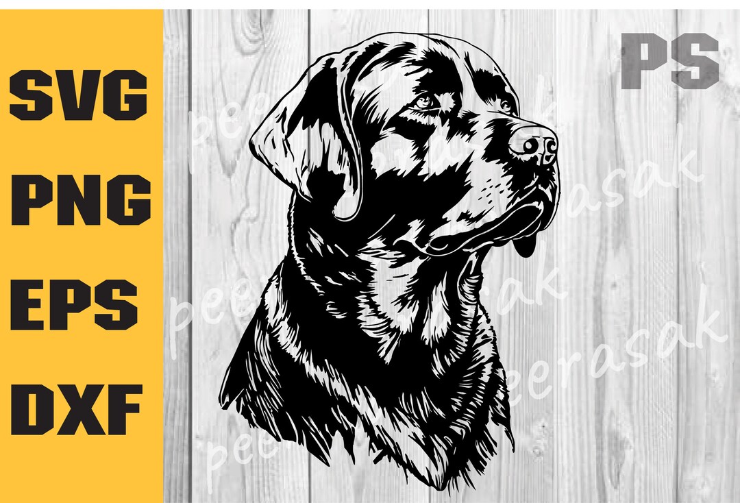 Labrador Svg, Black Labrador Svg, Doggo Svg, Dog Svg Cricut, Head ...