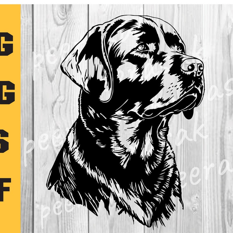 Black Lab Svg - Etsy