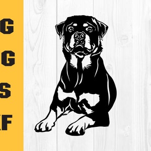 Rottweiler Svg, Dog Svg File Cricut, Rott Face Clipart, Rottie Body ...