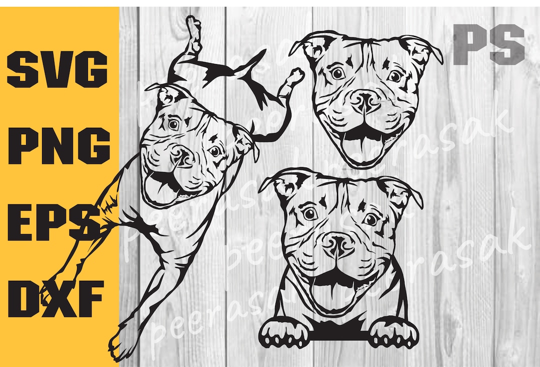 Pitbull Svg, American Pit Bull Svg, Pitbull Clipart, Pitbull Vector ...
