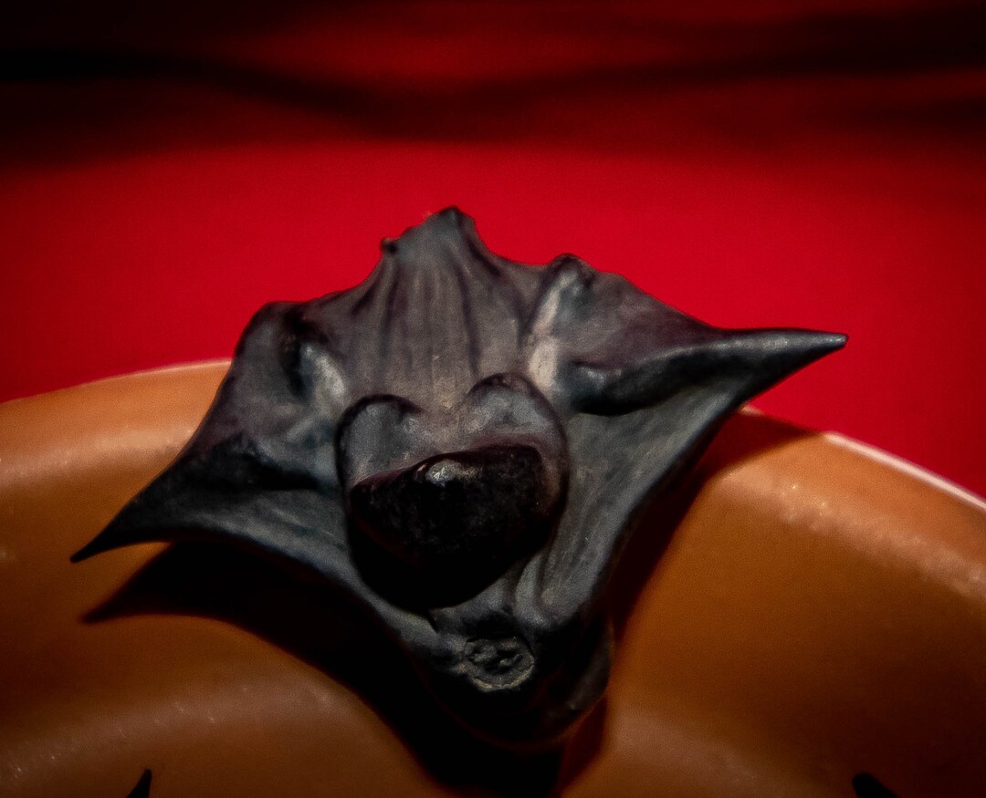 100 Bat Nuts, Devil Pod Seeds, Caltrop, Devil Head, Crafting, Beading ...