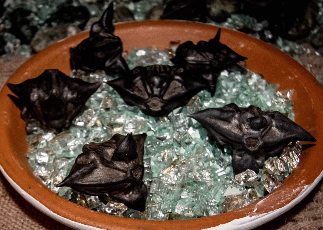 50, Bat Nuts, Gargoyle Nut Devil Pod Seeds, Caltrop, Devil Head ...