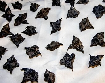 100 Bat Nuts Devil Pod Seeds Caltrop Devil Head Crafting - Etsy