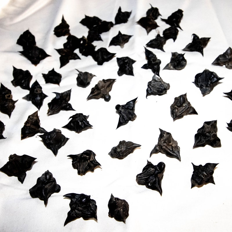 TerrisRusticDesigns - Etsy