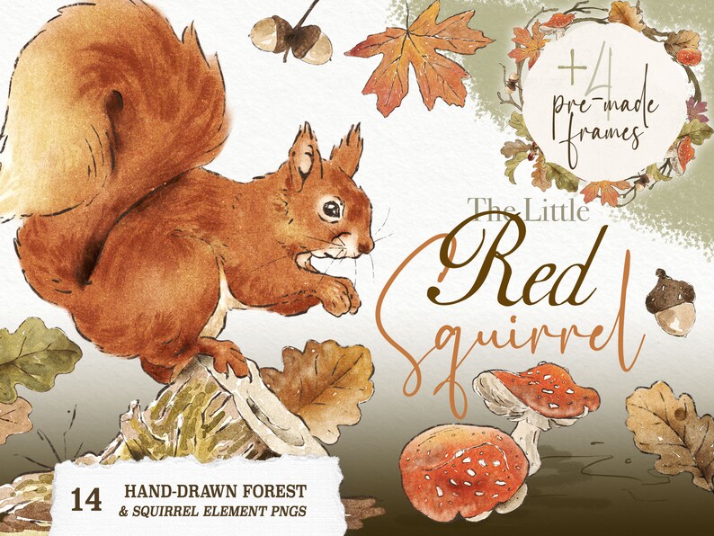 Forest Animal Clipart. Squirrel Graphics. Fall Leaf Clipart. - Etsy
