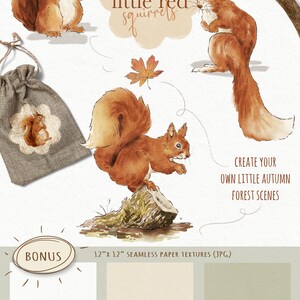 Forest Animal Clipart. Squirrel Graphics. Fall Leaf Clipart. Fall ...