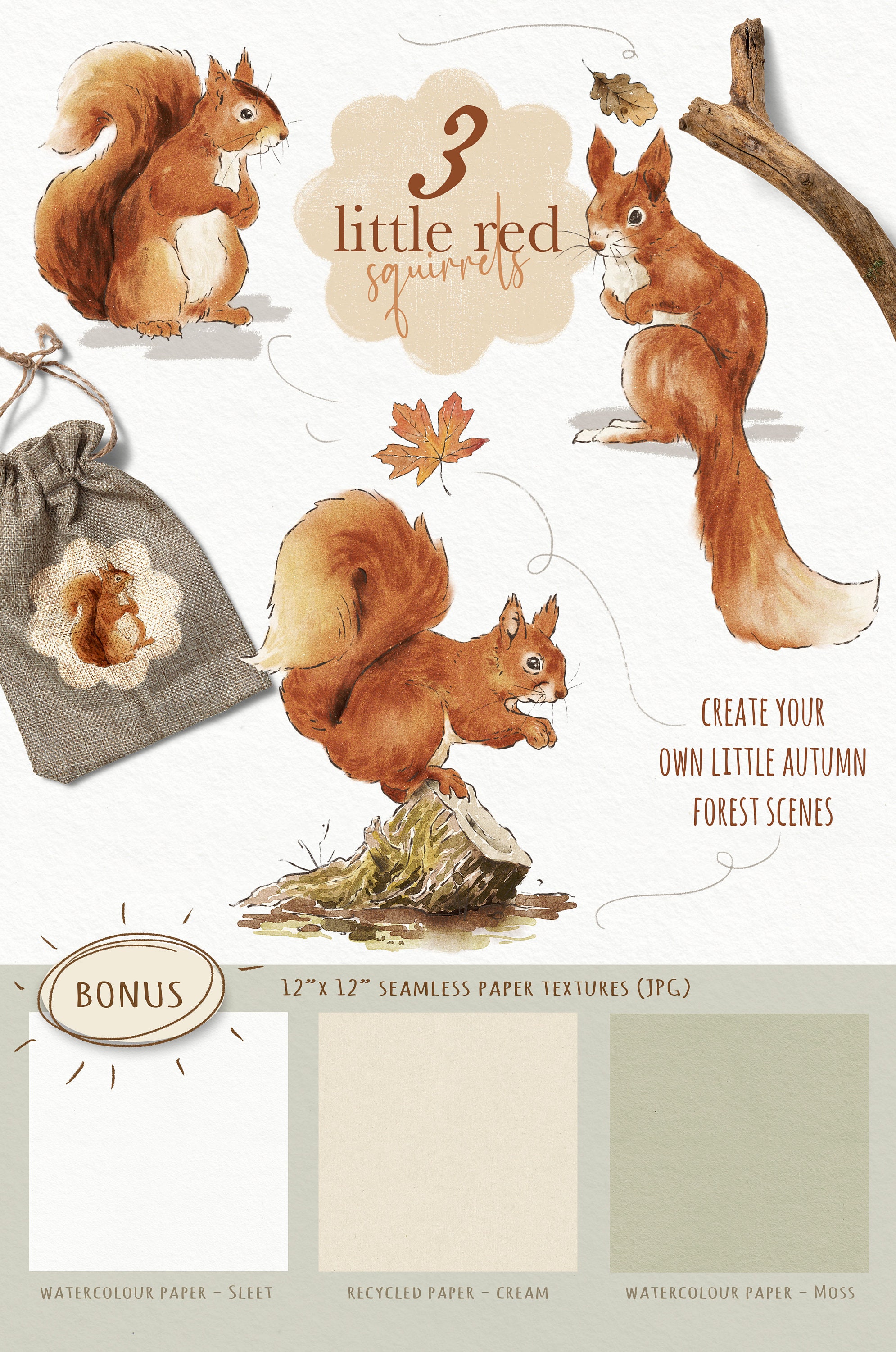 Forest Animal Clipart. Squirrel Graphics. Fall Leaf Clipart. - Etsy