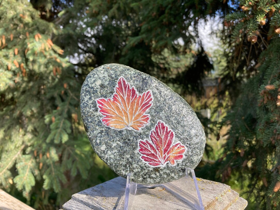 Alaskan Granite With Native Gooseberry Leaves From the Knik River ...