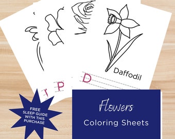 Spring Flowers Butterflies Bees Summer Coloring Sheets - Etsy