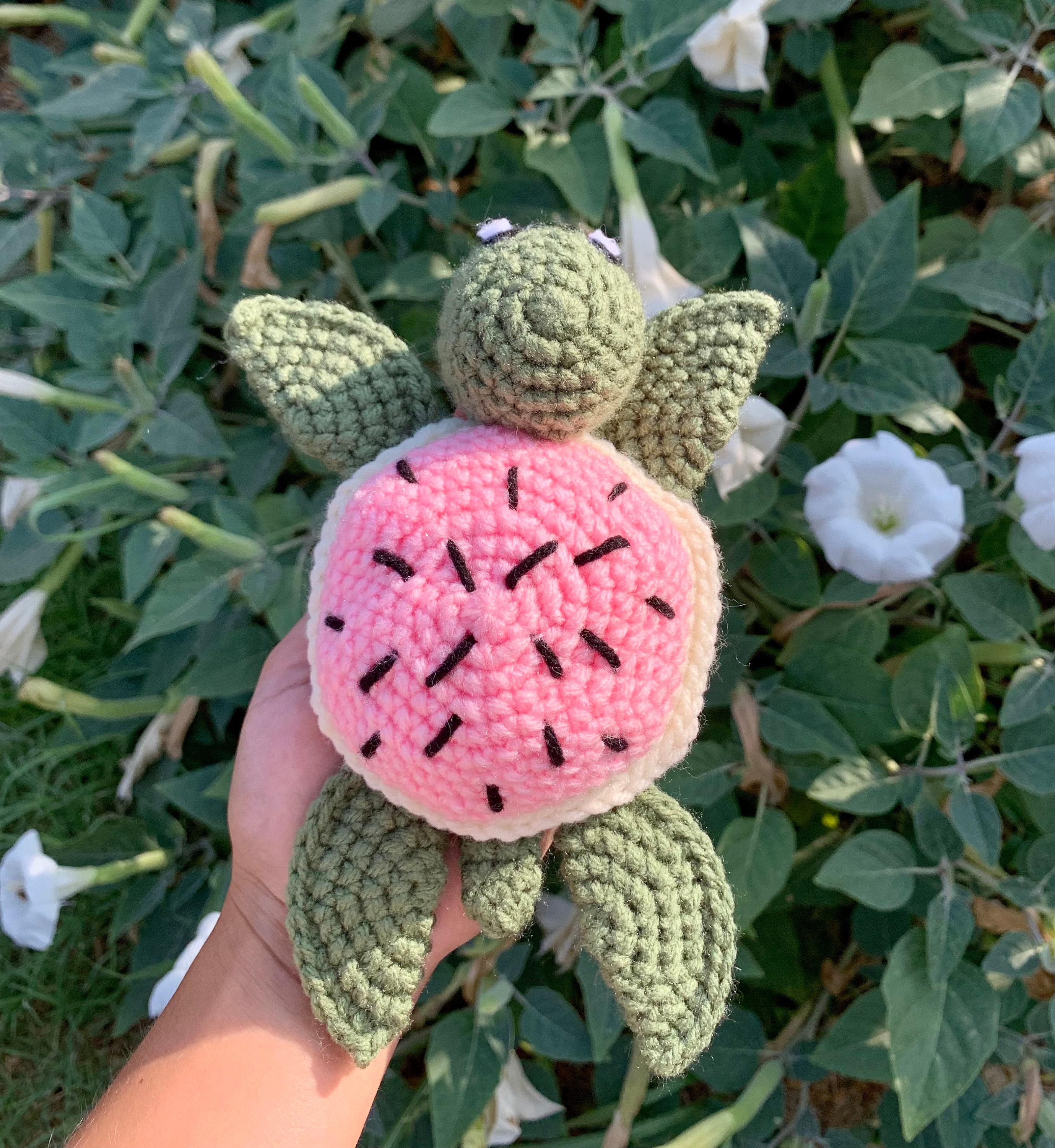 Watermelon Turtle Crochet Pattern - Etsy