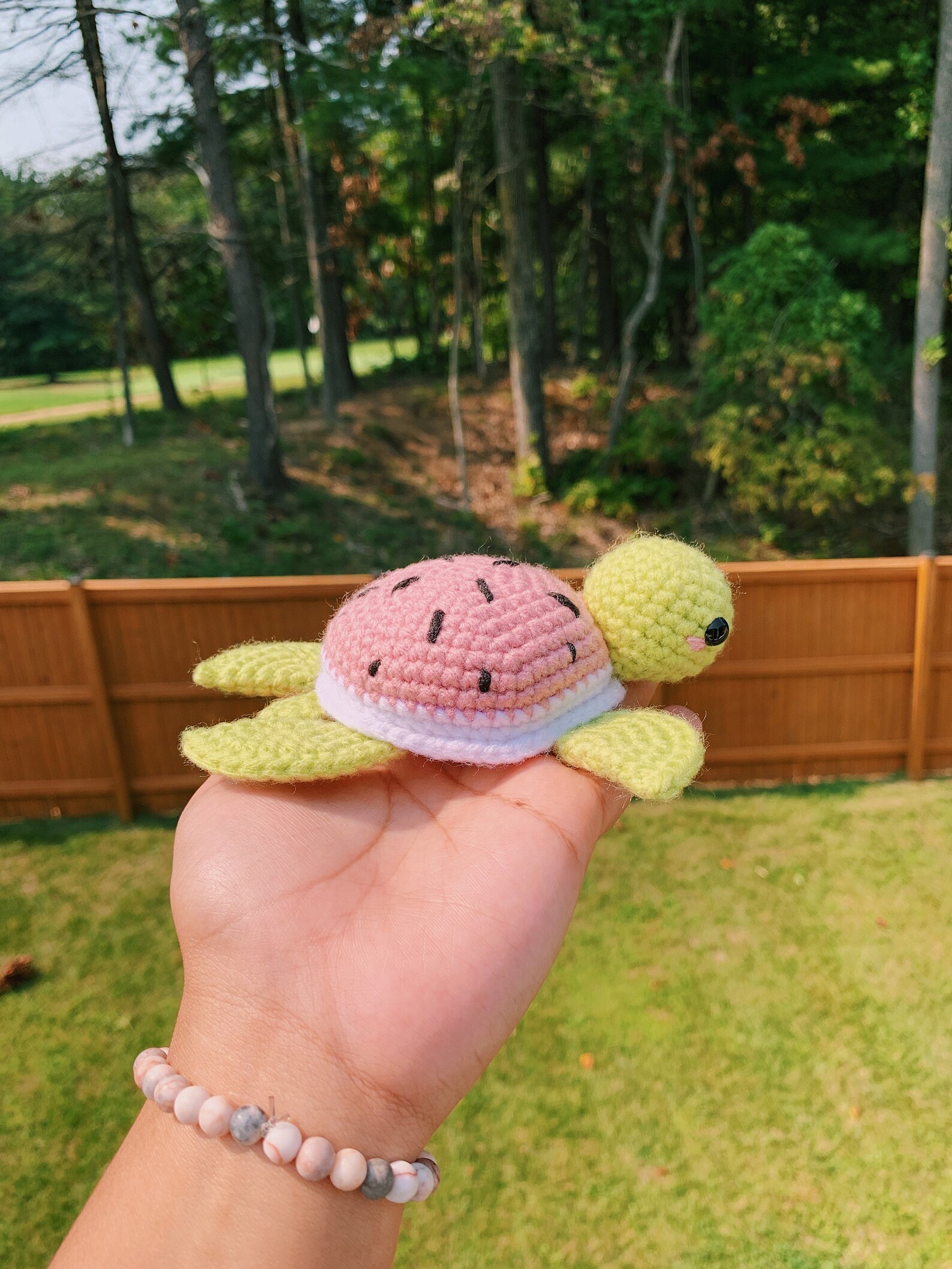 Watermelon Turtle Crochet Pattern - Etsy