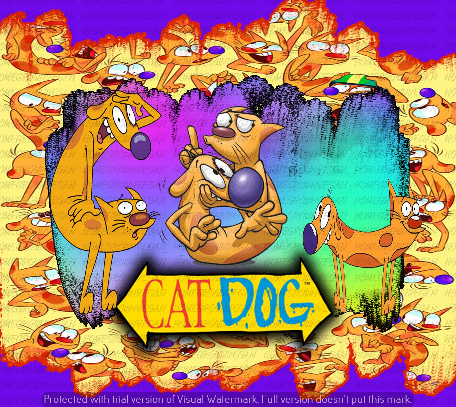 Catdog Cartoon