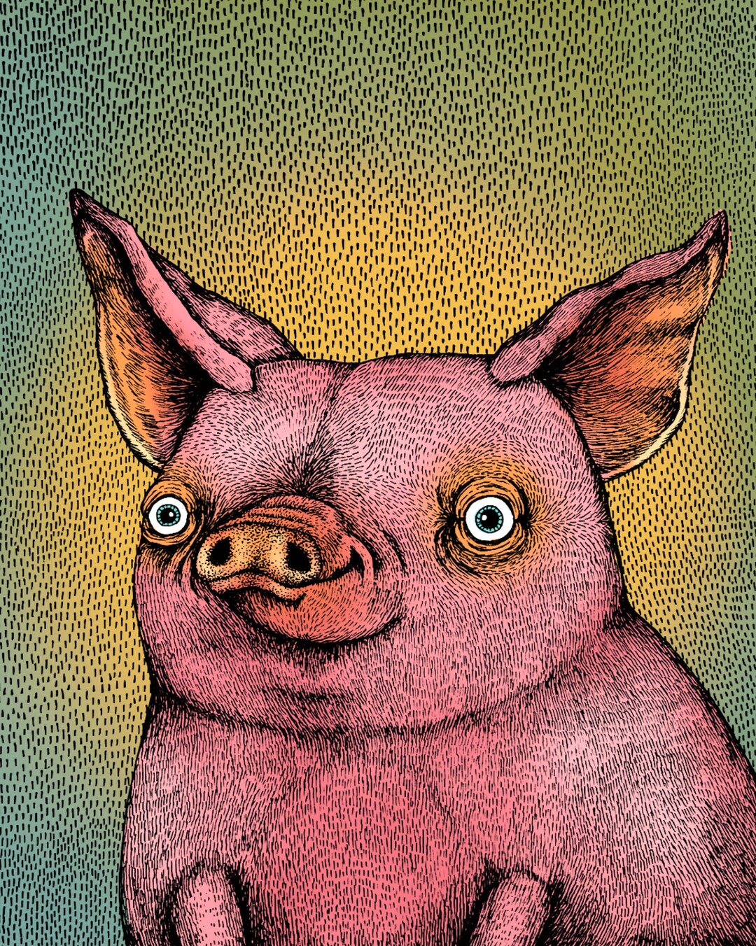 The Pig (color). Fine Art Matte Print of Original Pen and Ink ...