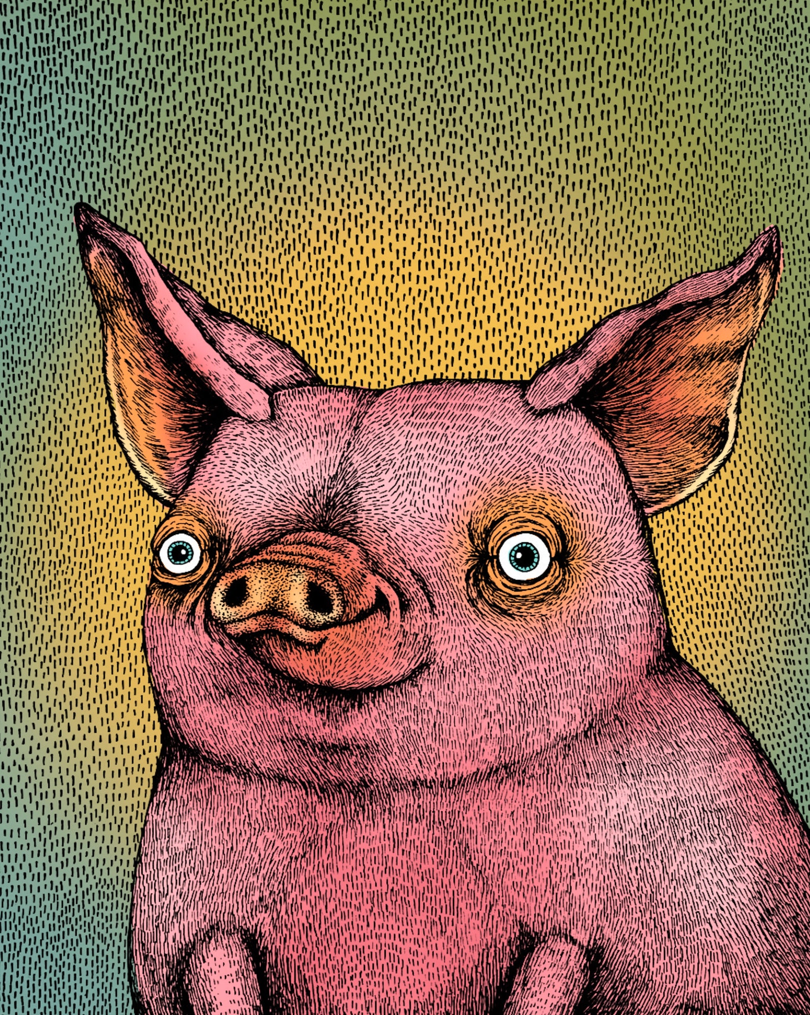 The Pig color. Fine Art Matte Print of Original Pen and Ink ...