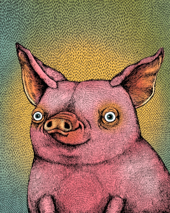 The Pig color. Fine Art Matte Print of Original Pen and Ink - Etsy