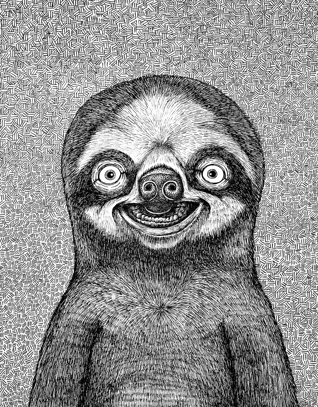 The Sloth. Fine Art Matte Print of an Original Pen and Ink Illustration ...