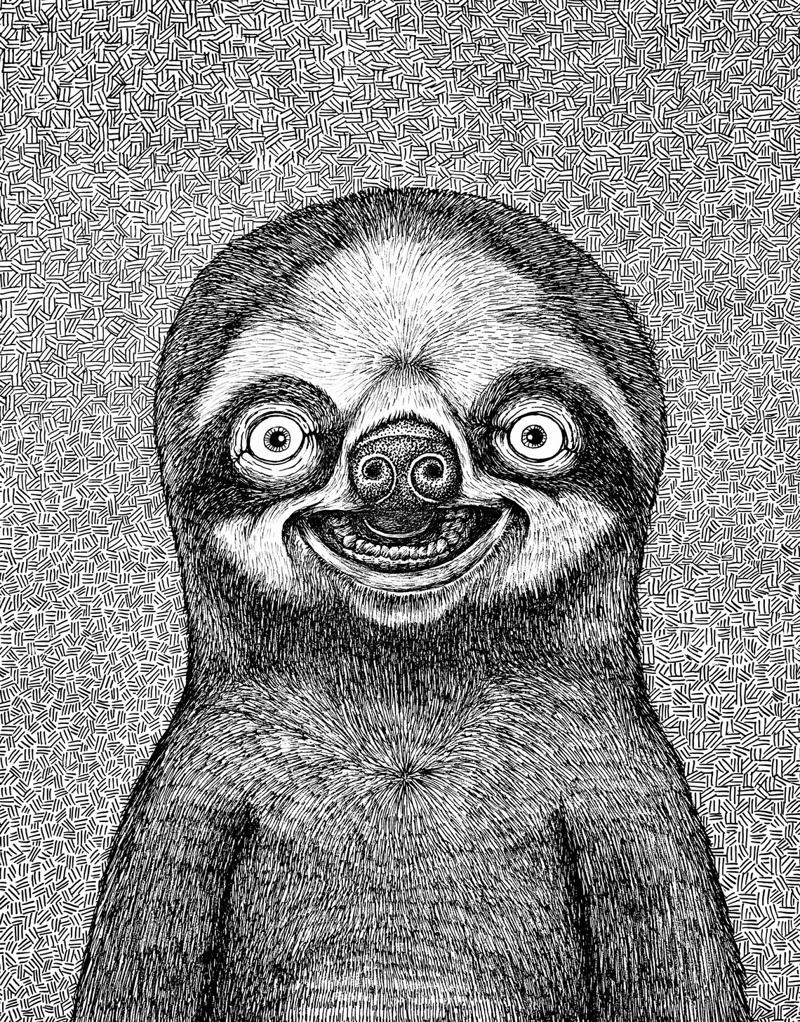 The Sloth. Fine Art Matte Print of an Original Pen and Ink Illustration ...
