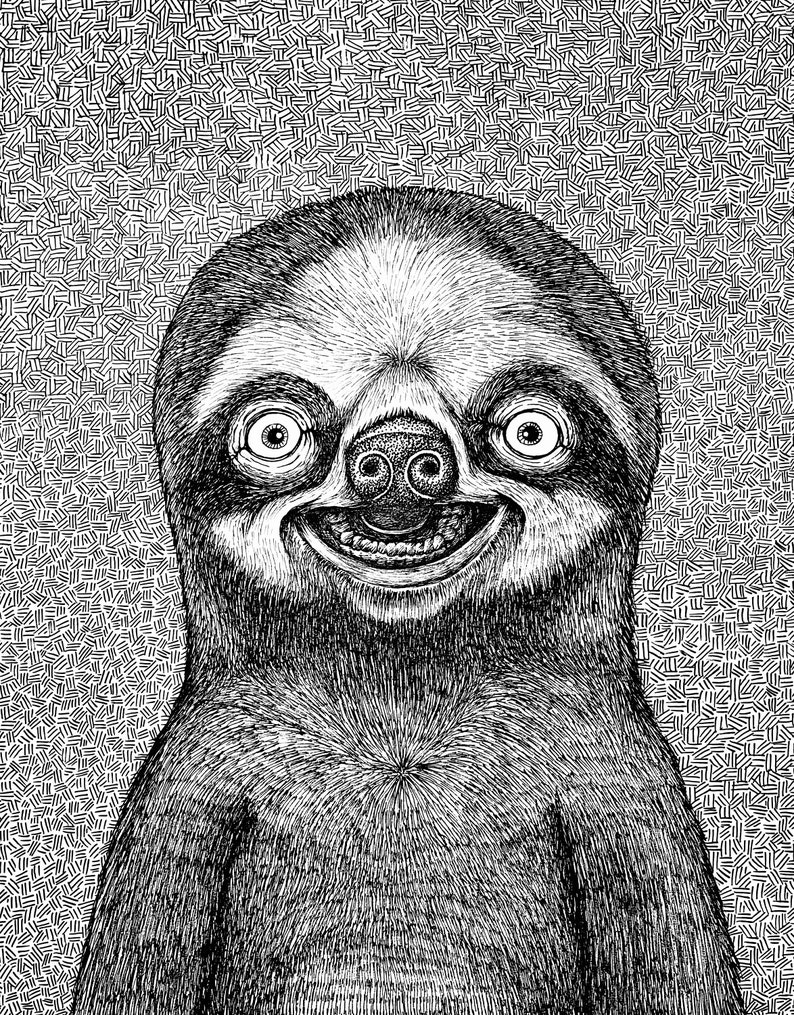 The Sloth. Fine Art Matte Print of an Original Pen and Ink Illustration ...