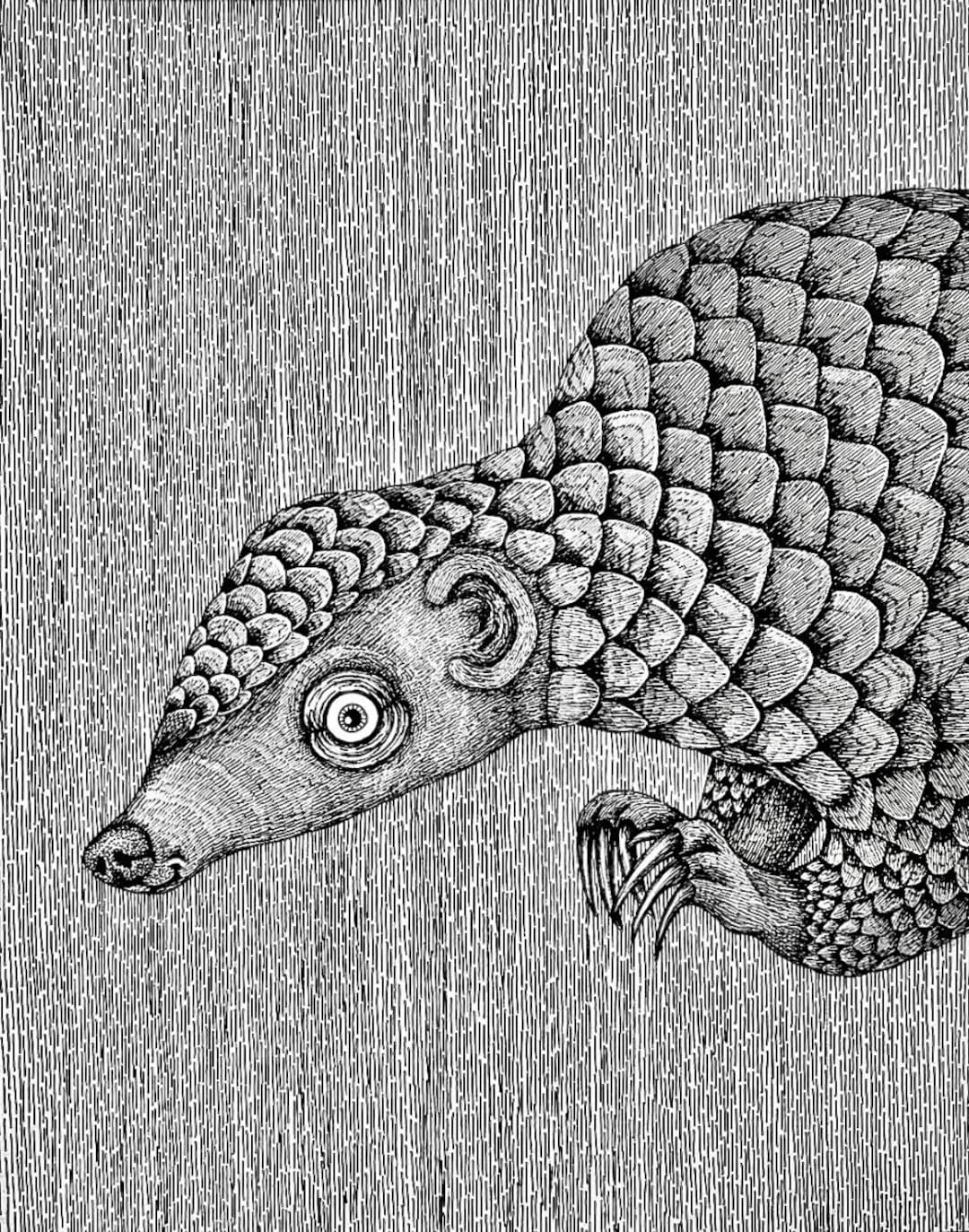 The Pangolin. Fine Art Matte Print of an Original Pen and Ink ...