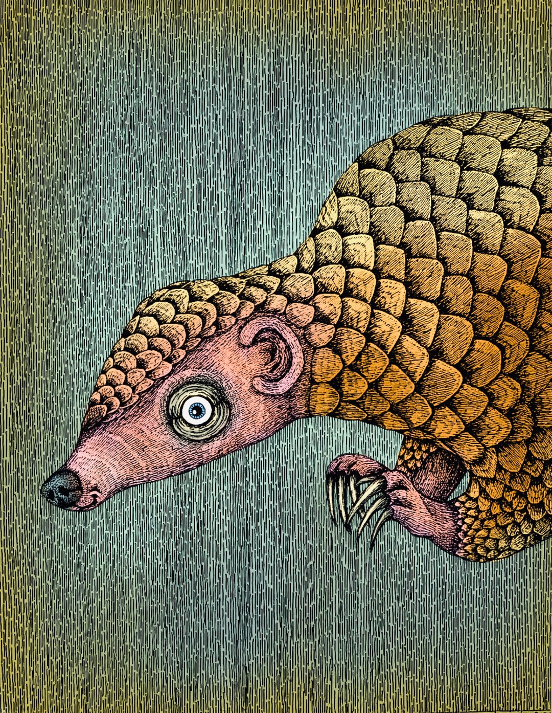 The Pangolin. Fine Art Matte Print of an Original Pen and Ink ...