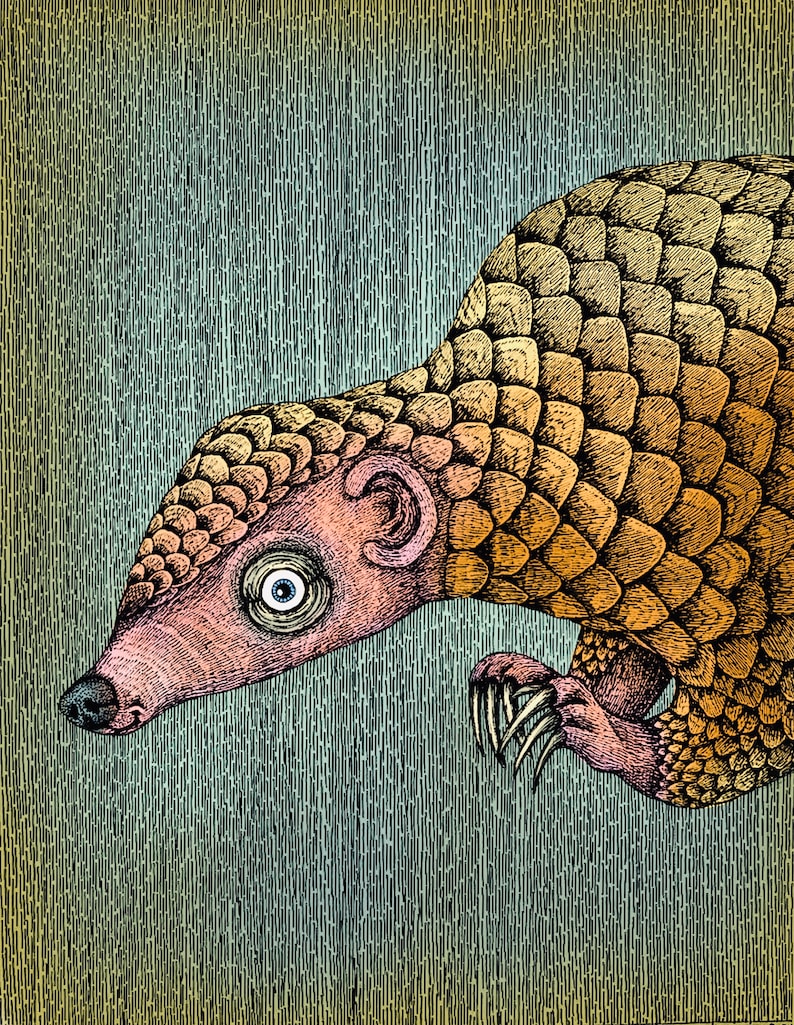 The Pangolin. Fine Art Matte Print of an Original Pen and Ink ...