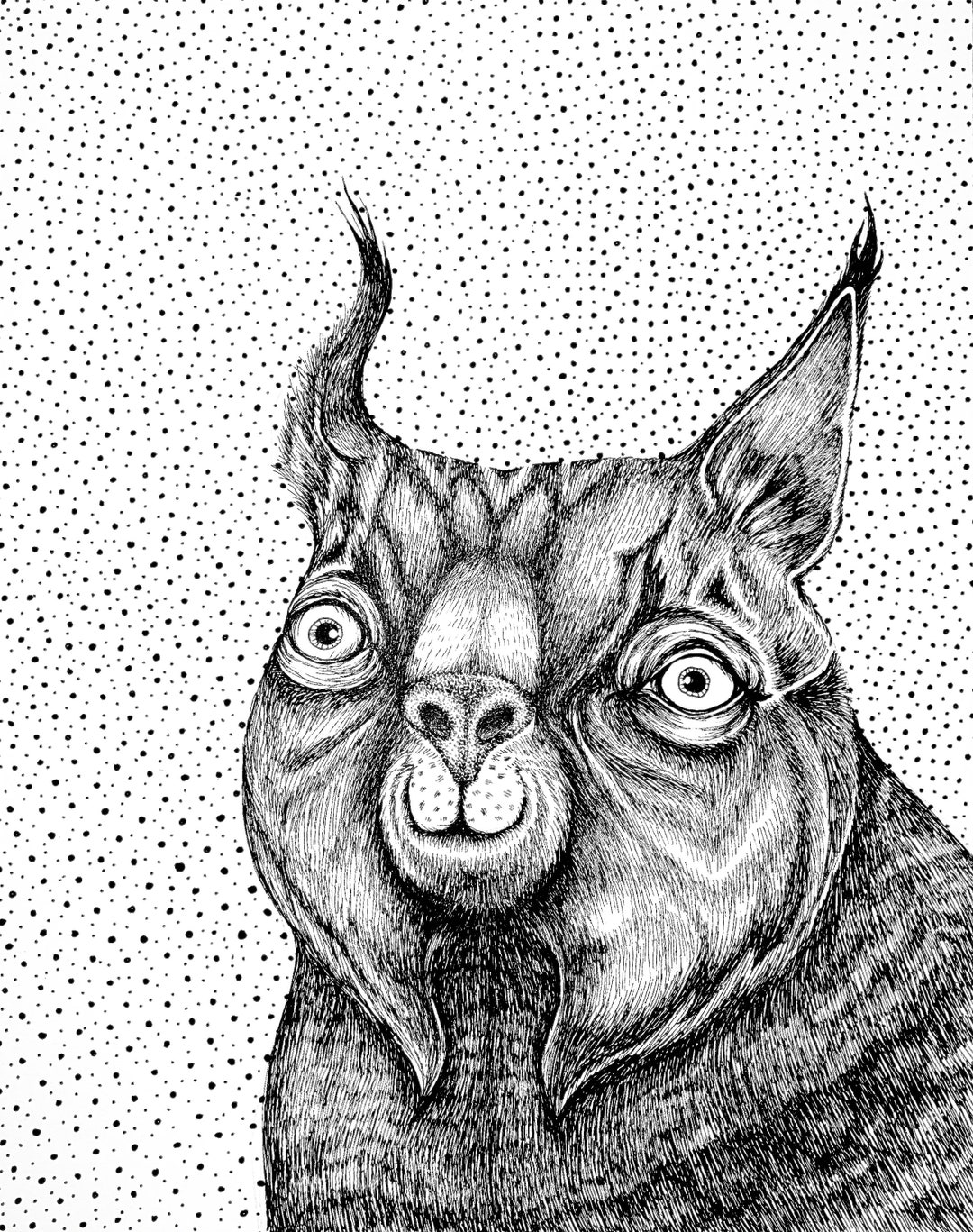 The Bobcat. Fine Art Matte Print of Original Pen & Ink Illustration on ...