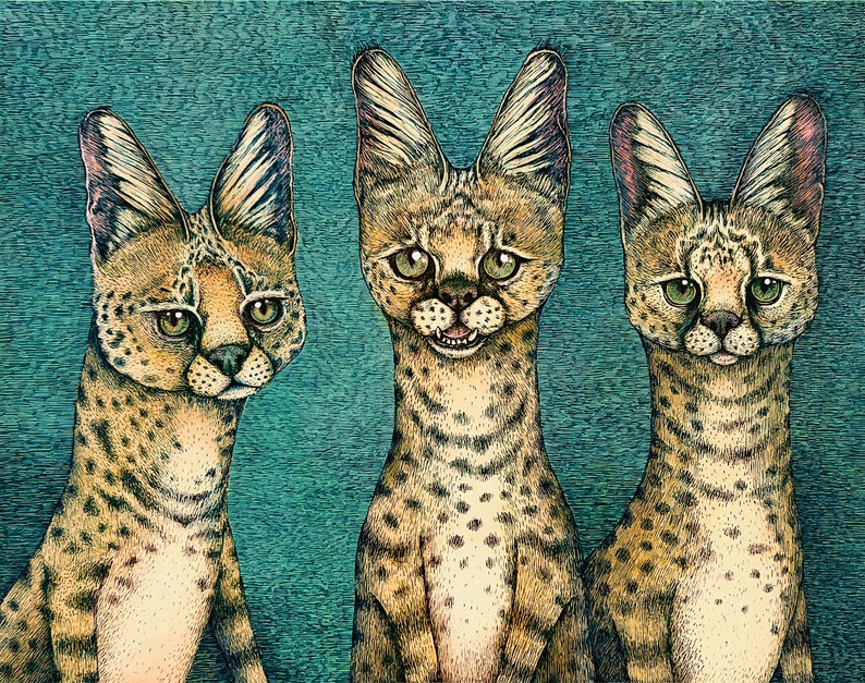 The Servals (color). 10% of Each Sale on Any Size Print Will Be Given ...