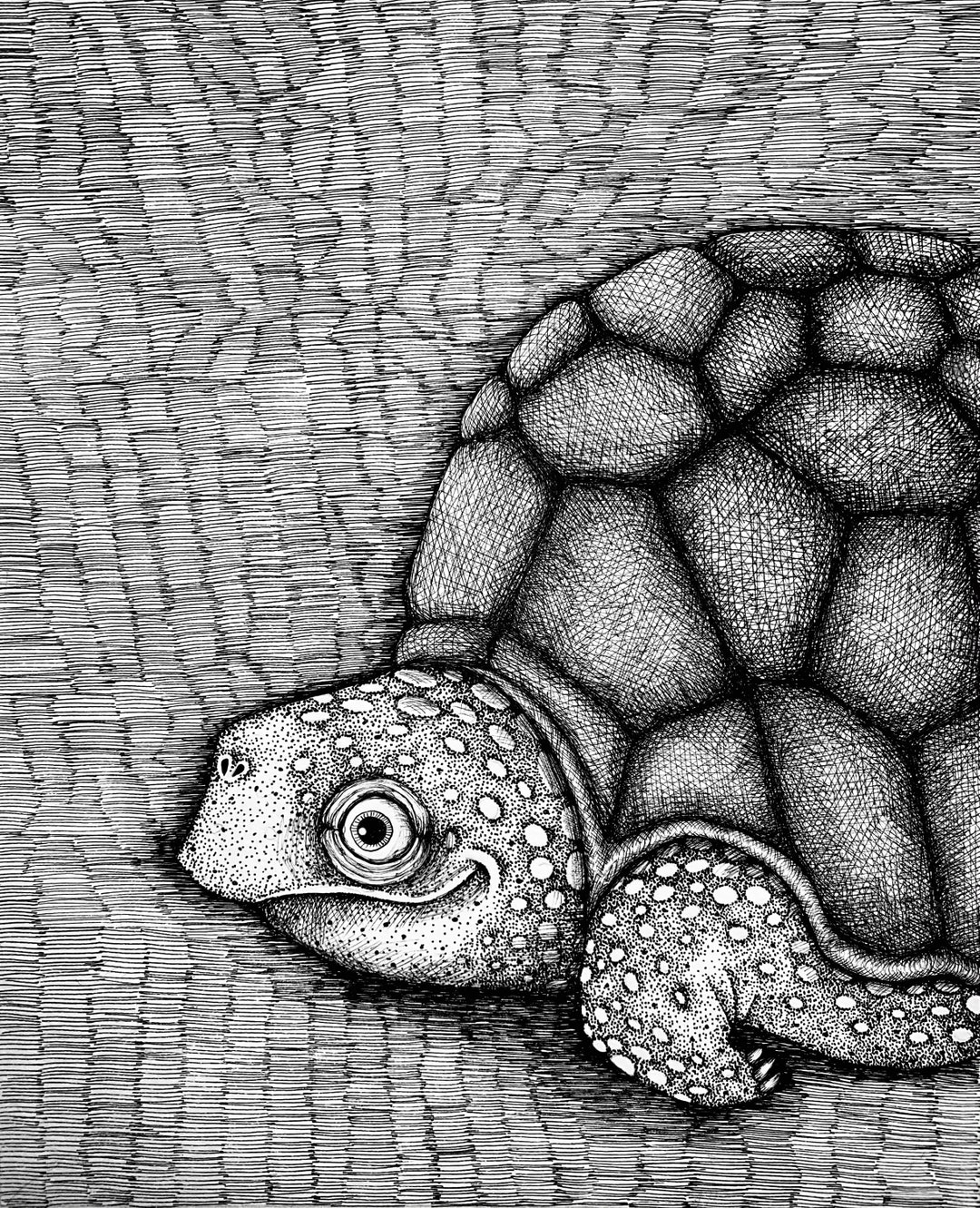 The Turtle. Fine Art Matte Print of an Original Pen and Ink ...