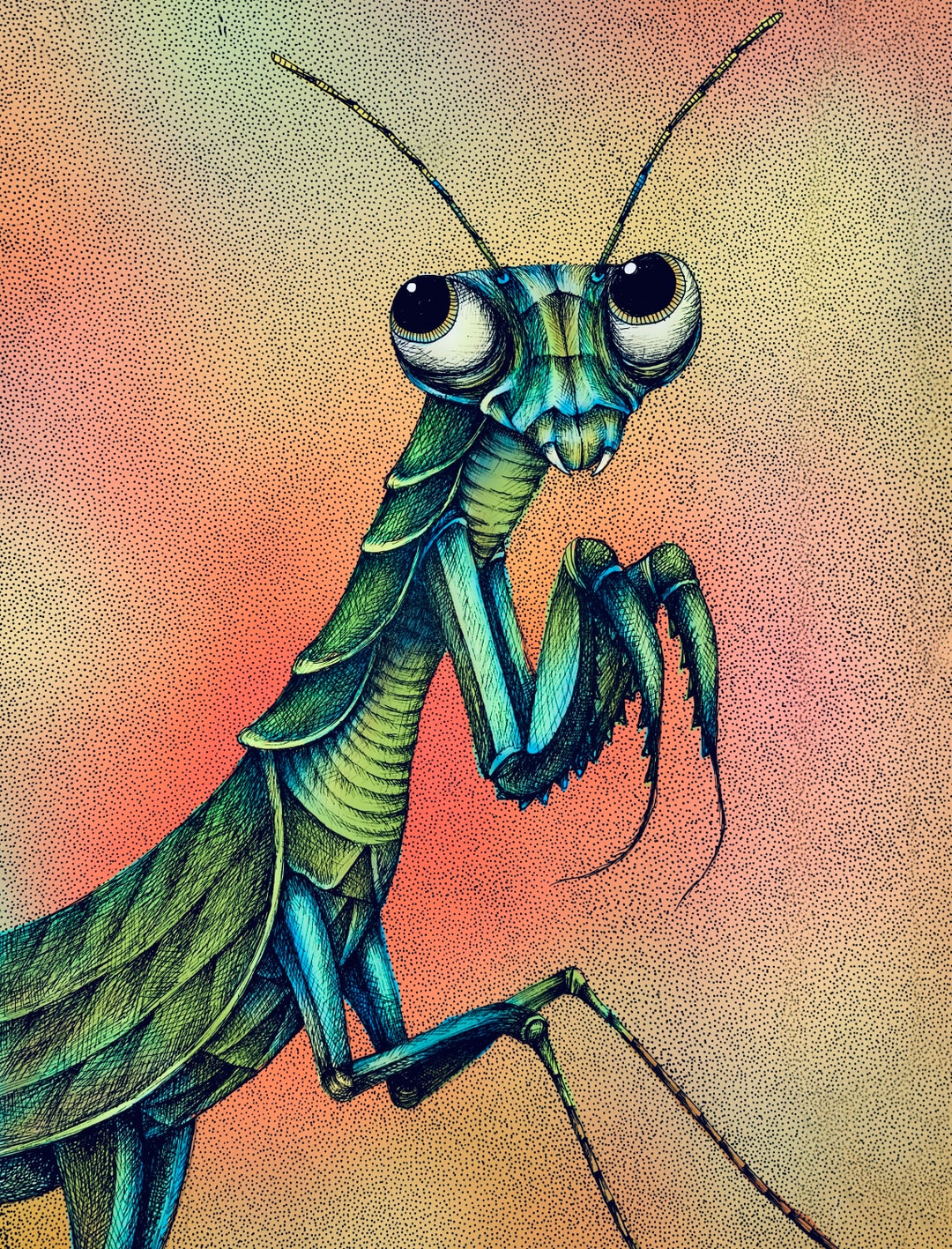 The Praying Mantis (color). Fine Art Matte Print of Original Pen and ...