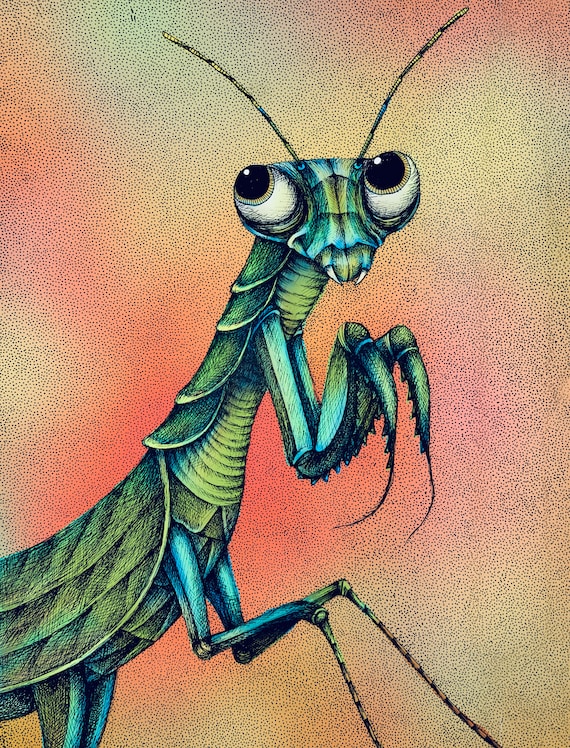 Colorful Mantis