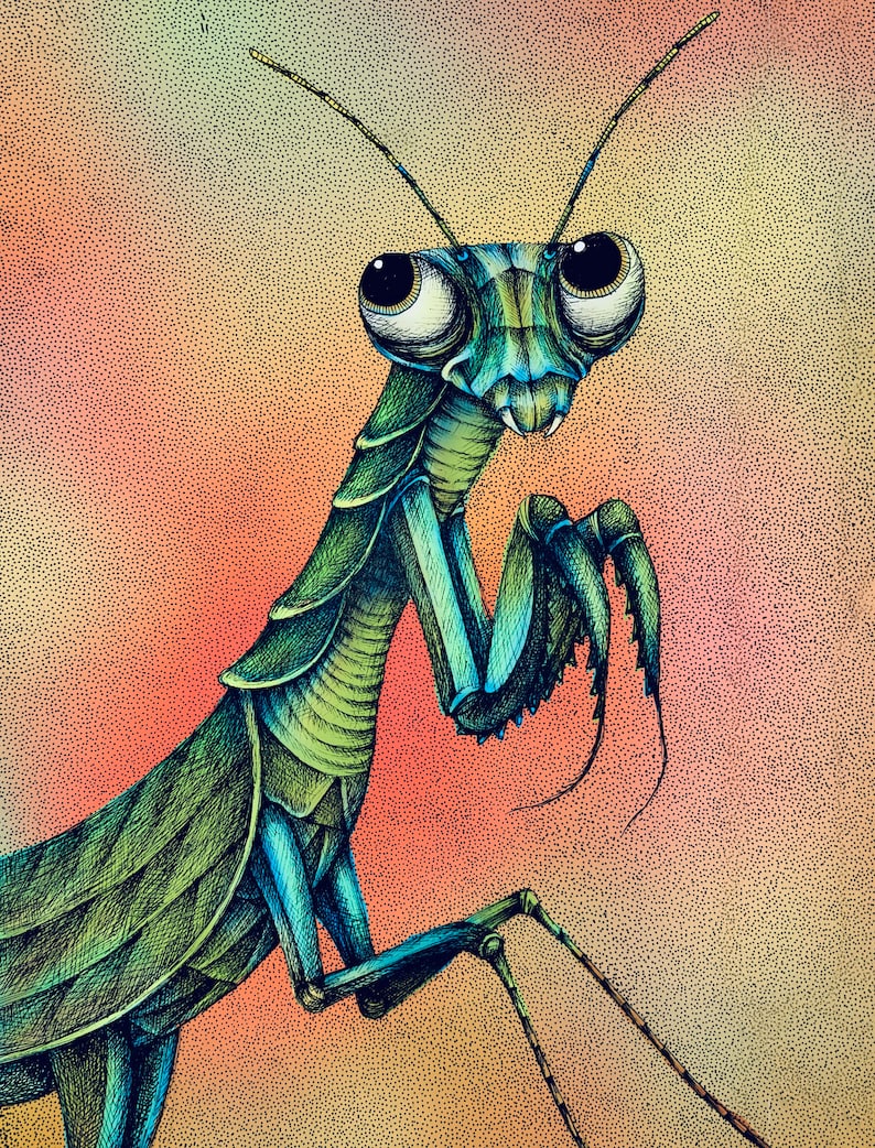 The Praying Mantis (color). Fine Art Matte Print of Original Pen and ...
