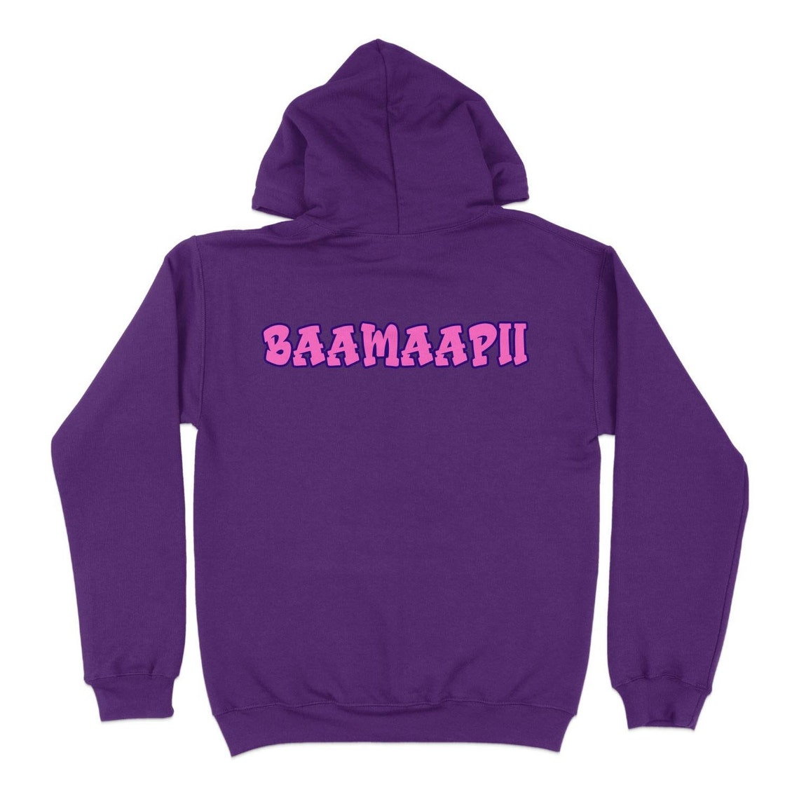 Boozhoo Baamaapii Hoodie Unisex Sizes. Ojibwe Anishinaabemowin ...