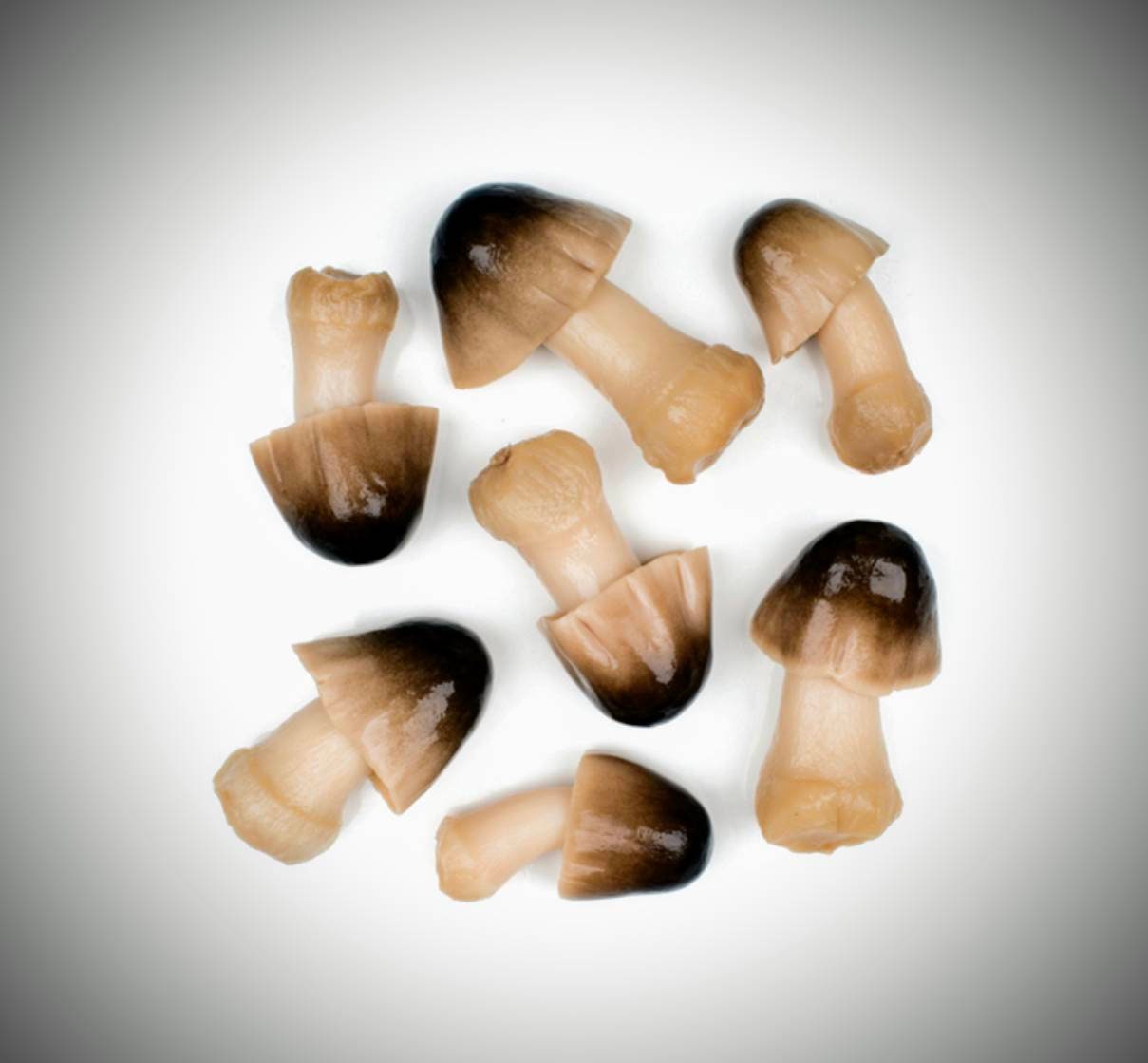 Paddy Straw Mushroom