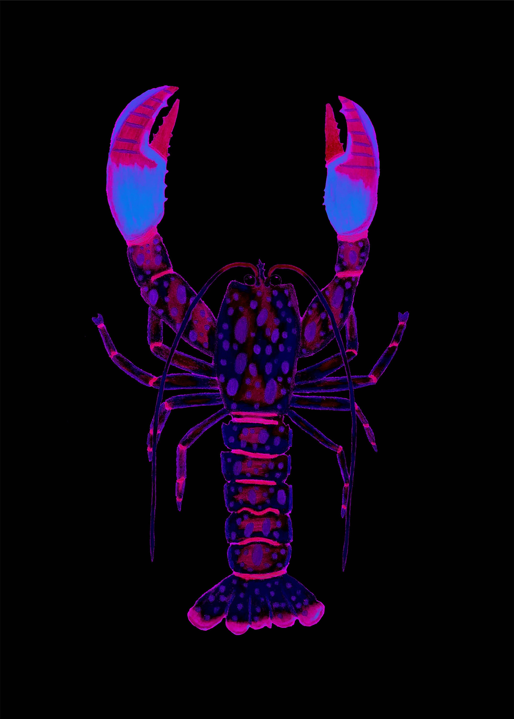 Fluorescent Lobster. Sea Art - Animal - Sea Life Art - Art Print - Home ...