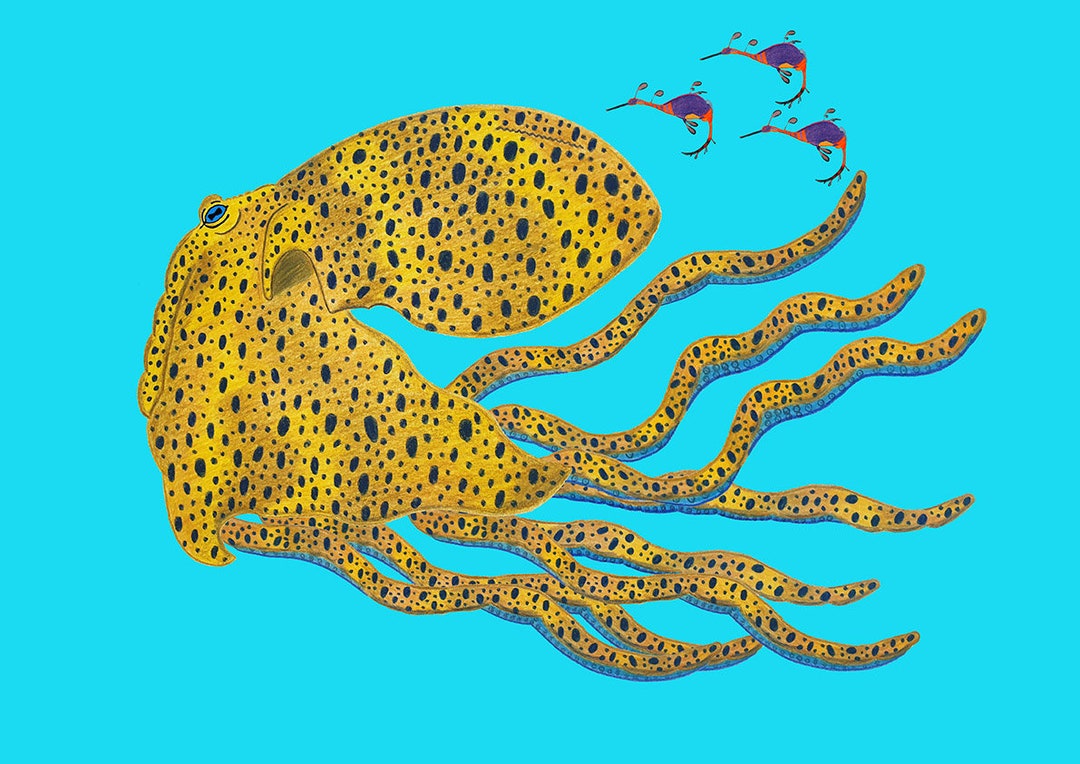 Octopus and Sea Dragon Print. Kids Art - Marine Life - Sea Life Art ...