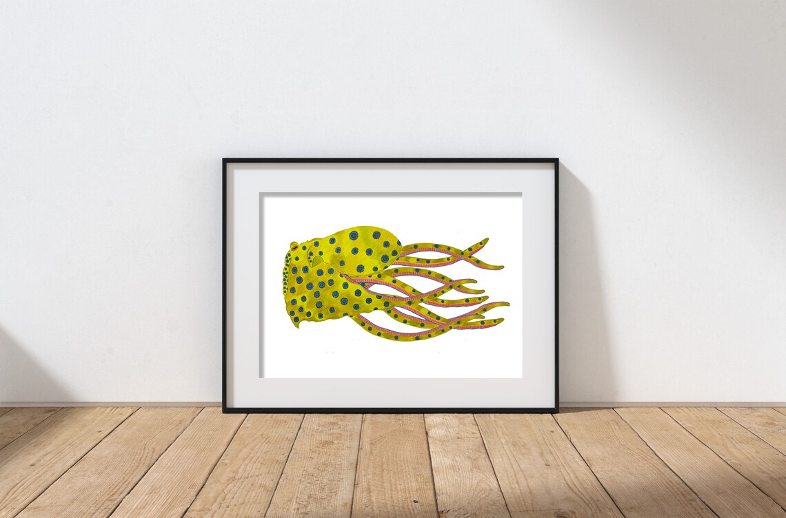 Blue Ringed Octopus Print. Sea Art Marine Life Sea Life | Etsy