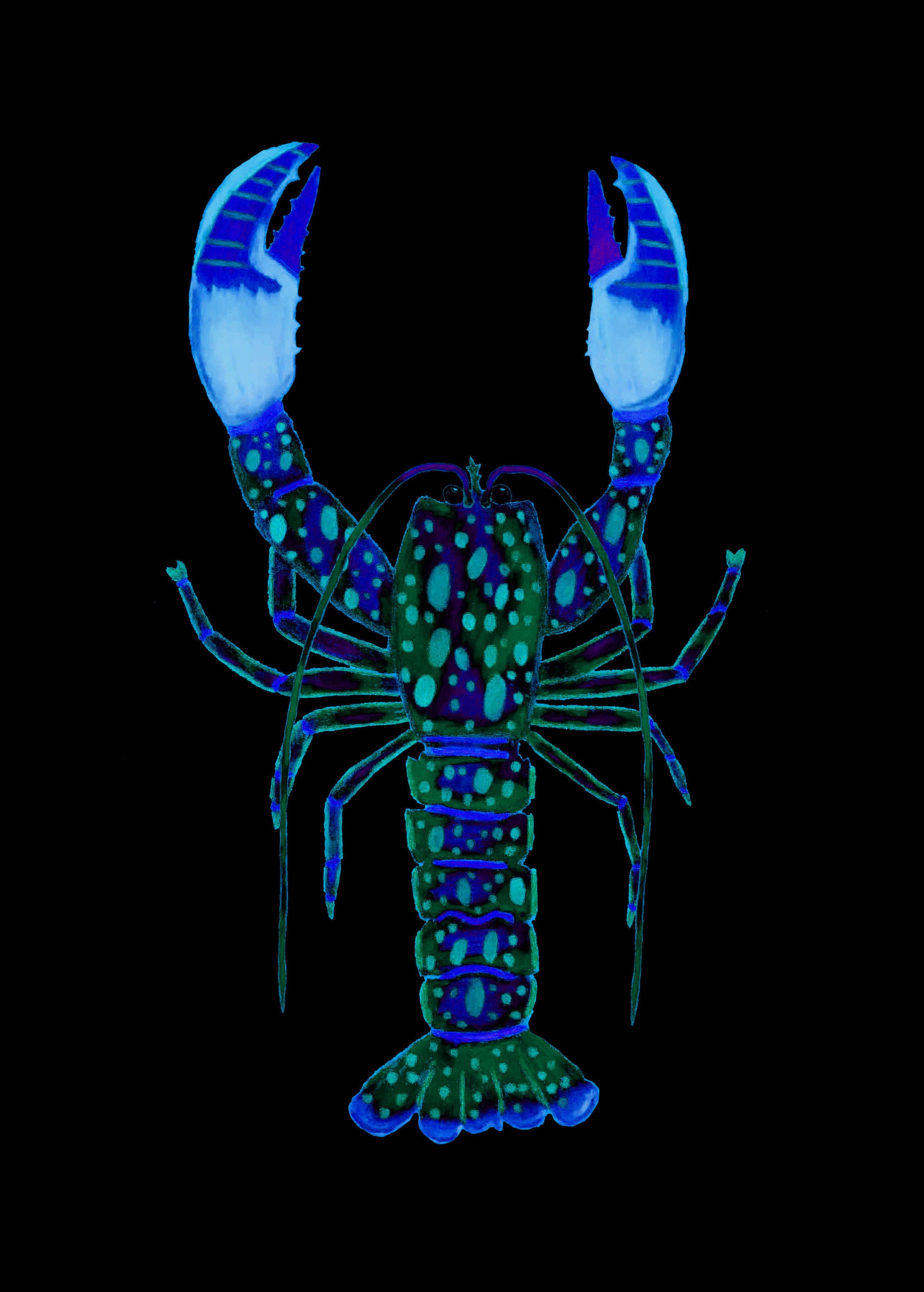 Fluorescent Lobster. Sea Art - Animal - Sea Life Art - Art Print - Home ...