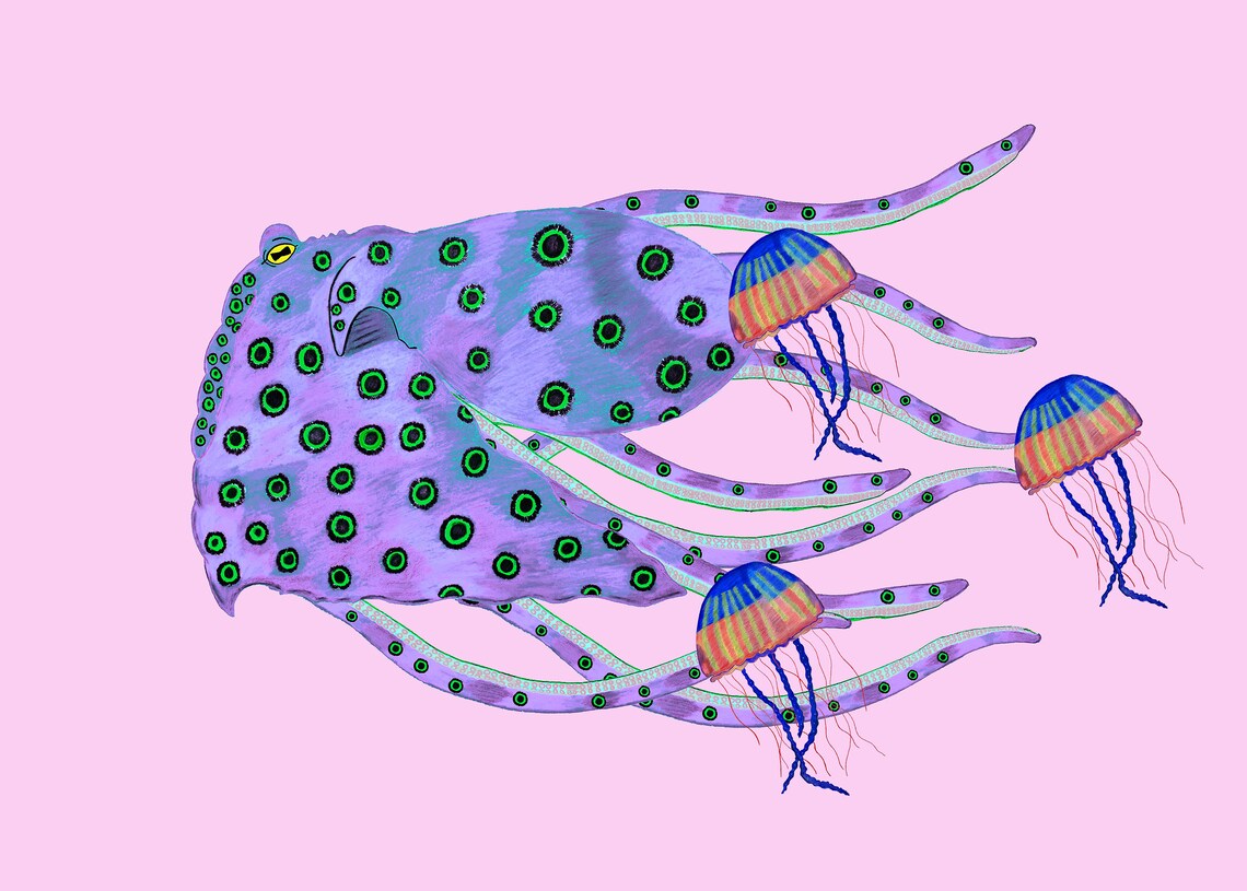 Pink Octopus . Sea Art - Marine Life - Sea Life Art - Jellyfish- Art ...