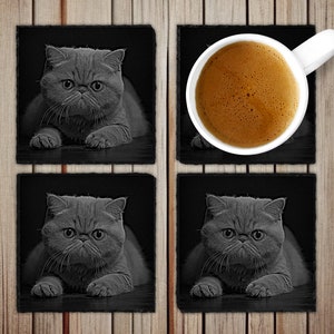 Glowforge Laser Ready Cat Breed Set of 10 Coaster Engraving- Digital ...