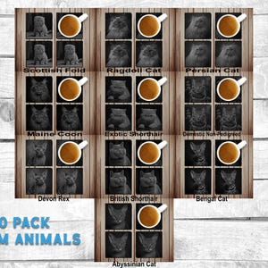 Glowforge Laser Ready Cat Breed Set of 10 Coaster Engraving- Digital ...