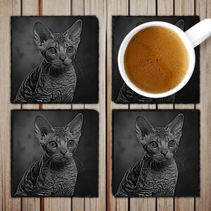 Glowforge Laser Ready Cat Breed Set of 10 Coaster Engraving- Digital ...